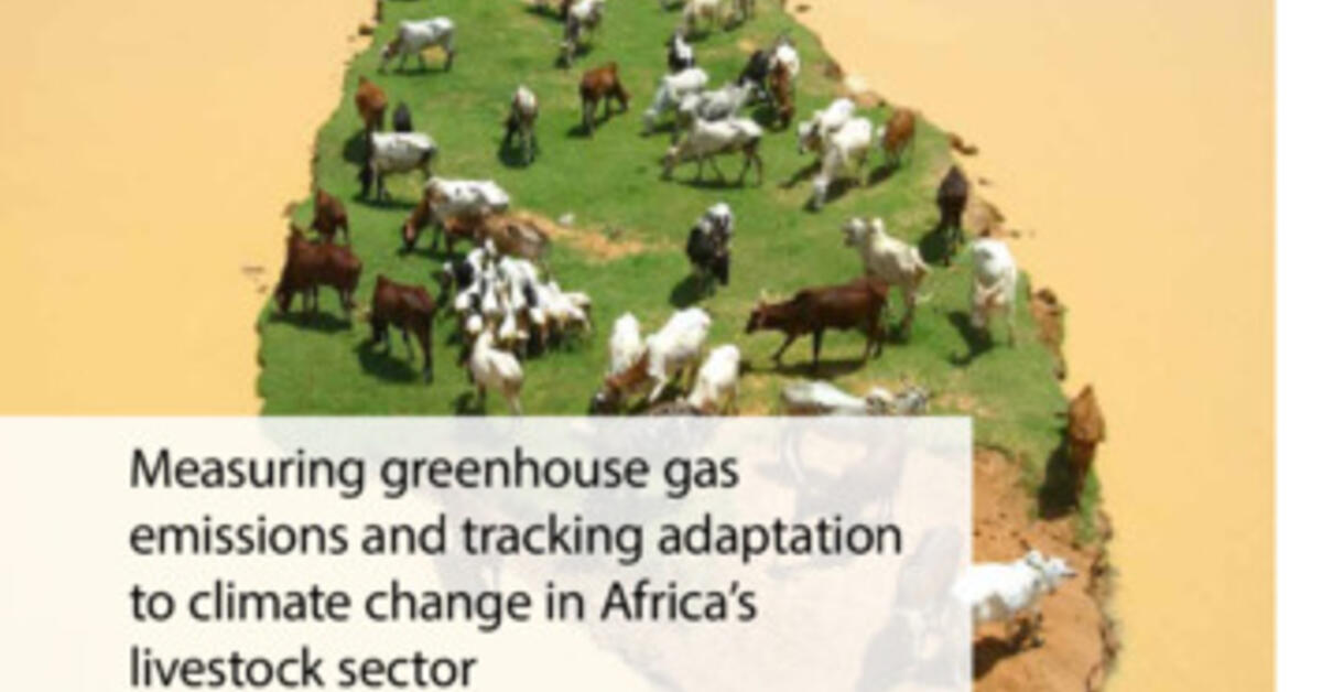 Measuring greenhouse gas emissions and tracking adaptation to climate change in Africa’s ...